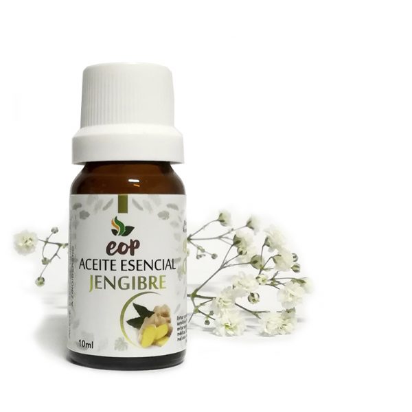ACEITE ESENCIAL DE JENGIBRE - KIÓN / GINGER (ZINGIBER OFFICINALE) 100% ...